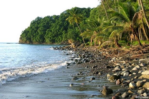 3 activités à faire à Rivière-Pilote, sur l'île de la Martinique