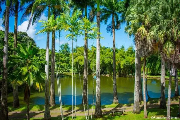 Découvrez l’Habitation Clément sur l’île de la Martinique