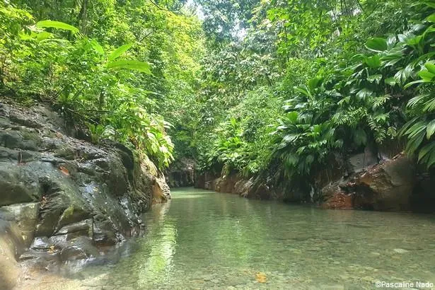 Randonnée aquatique au canyon de la rivière Moustique