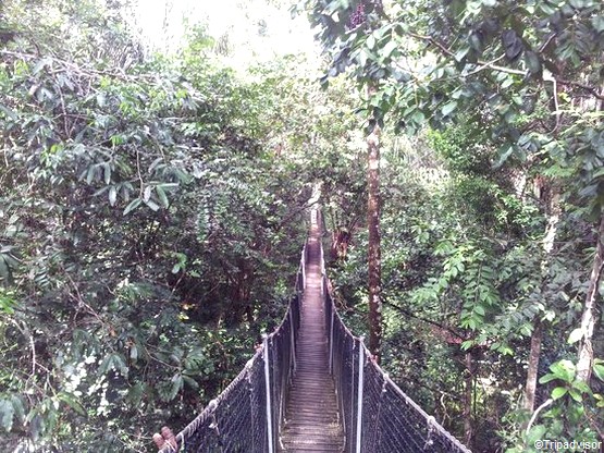 Zoo de Guyane : Explorez un monde sauvage