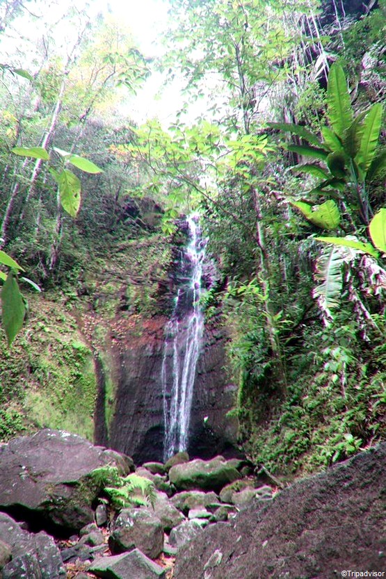 La cascade d'Anba So : à découvrir en Martinique