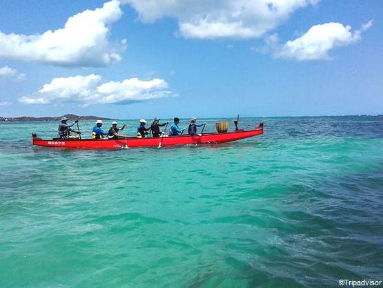 Martinique : Découvrez la Pointe Faula et ses activités