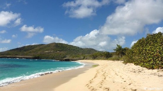 Martinique : Découvrez la Pointe Faula et ses activités