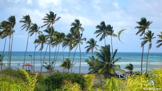 Martinique : Découvrez la Pointe Faula et ses activités