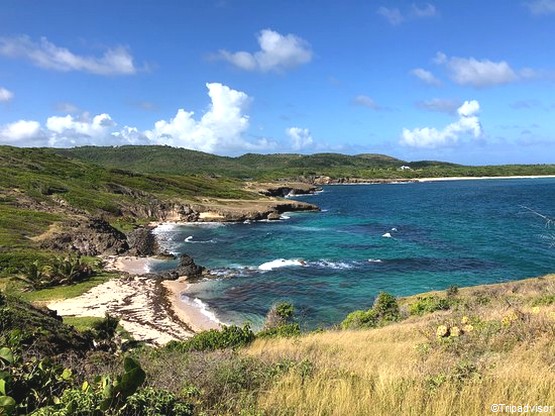 Martinique : Découvrez la Pointe Faula et ses activités