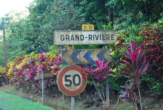 Découvrez Grand’Rivière, magnifique village de la Martinique
