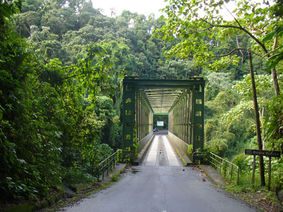 Découvrez Grand’Rivière, magnifique village de la Martinique