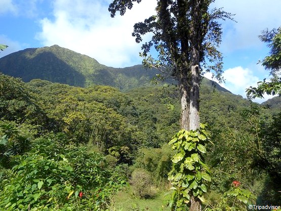 Explorez les Pitons du Carbet en Martinique