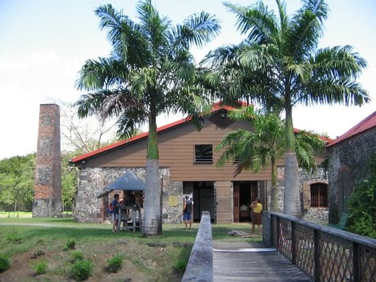 Découvrez la distillerie Saint-James, en Martinique
