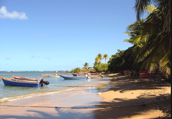 Partez à la découverte du joli village de Tartane